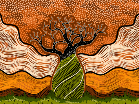 Co-design and place-based approaches: Lessons from Indigenous-led ...